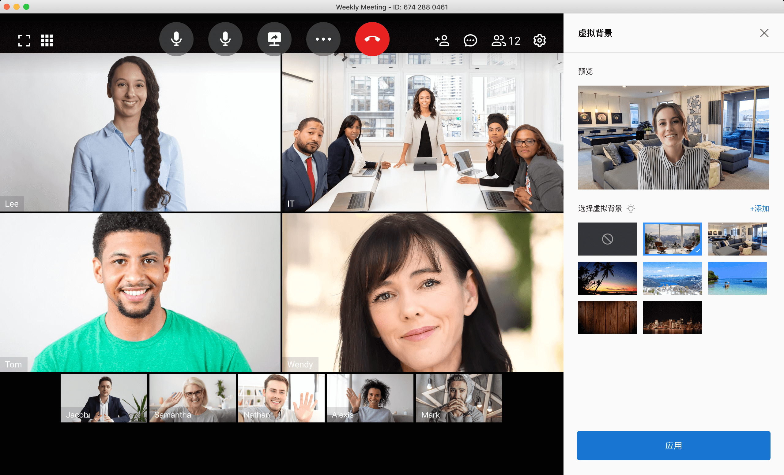 TeamLink - User Manual