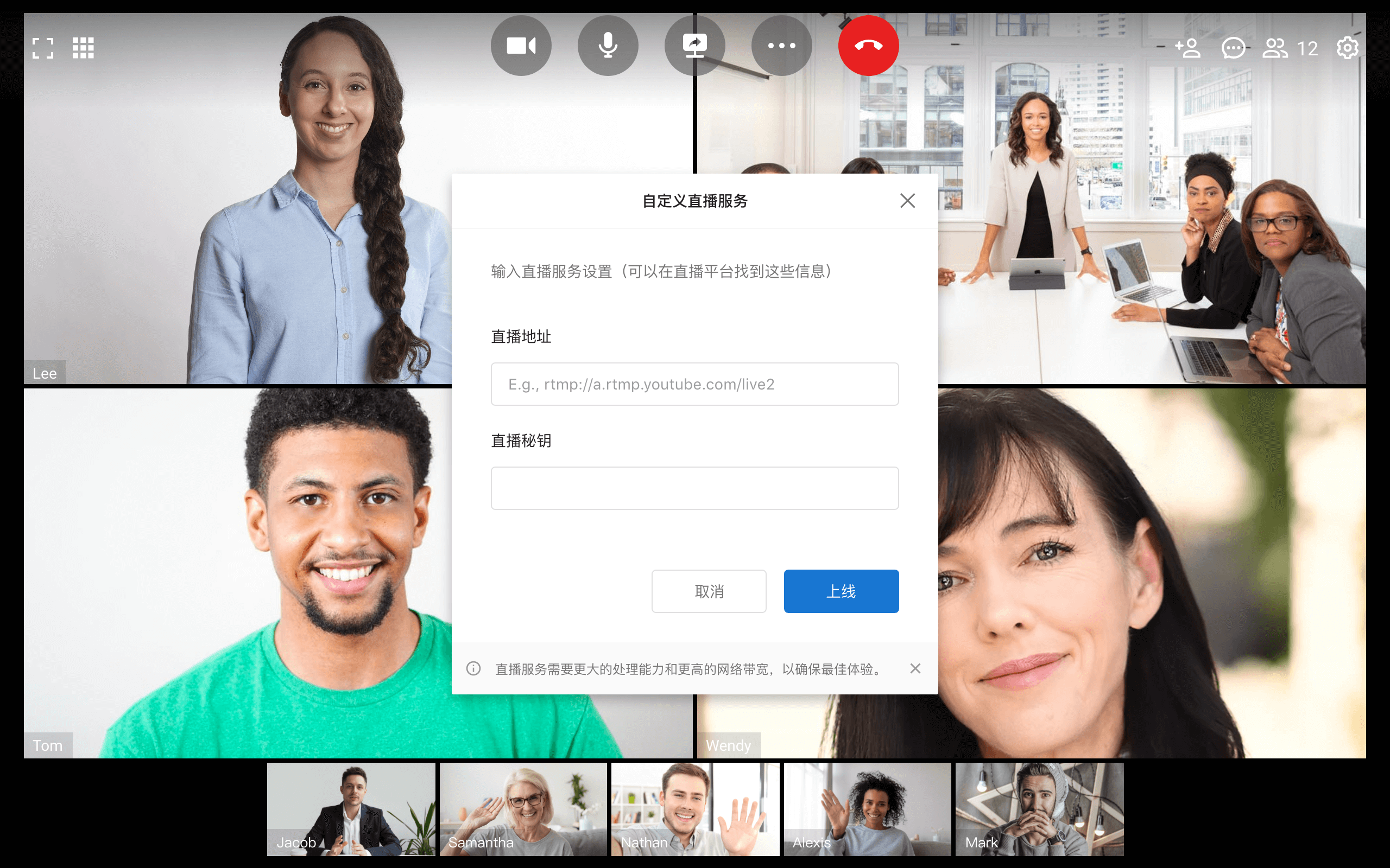 TeamLink - User Manual