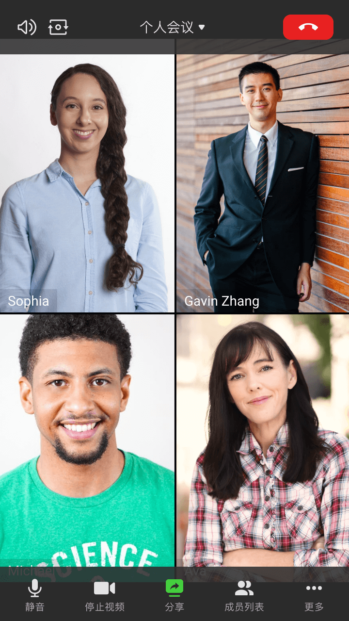 TeamLink - User Manual